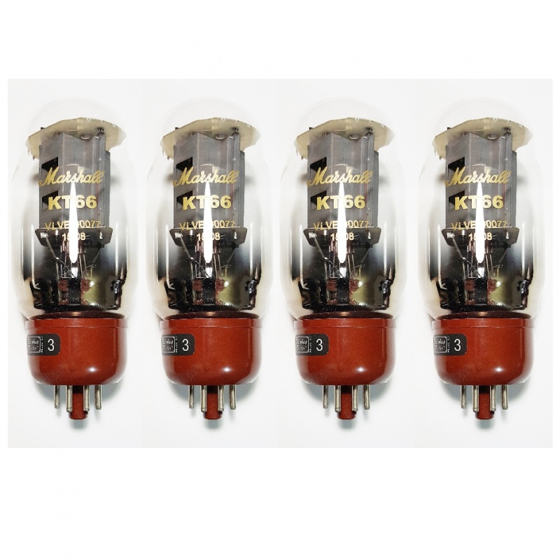 Marshall (TAD) Gold Label KT66